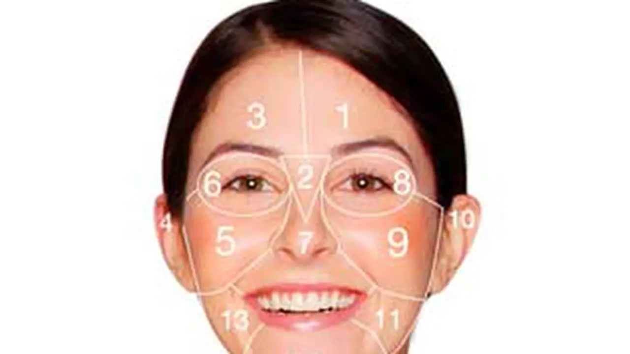 Ternyata, Lebah Bisa Mengenali Pola Wajah Manusia - Tekno Liputan6.com