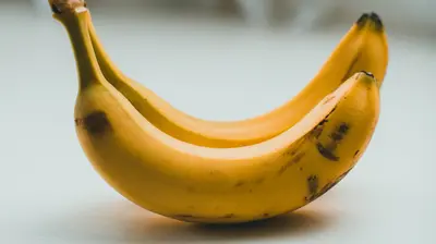 Fit & Diet - Kabar Berita Terbaru Dunia Kesehatan, Seks, Diet, Herbal Terbaik