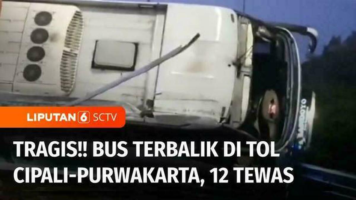 VIDEO: Tragis! 12 Orang Tewas dalam Kecelakaan Maut Bus Terbalik di Tol Cipali-Purwakarta - TV ...