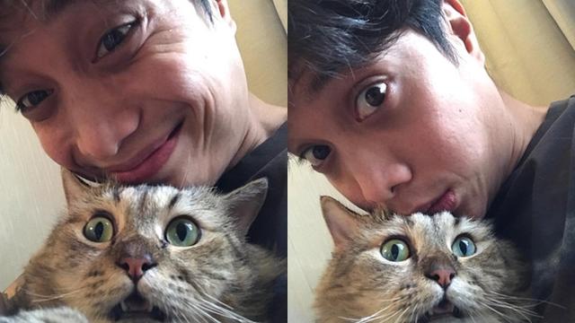 7 Potret Gemas Dikta Yovie & Nuno dengan Jimbon, Kucing Peliharaan yang ...