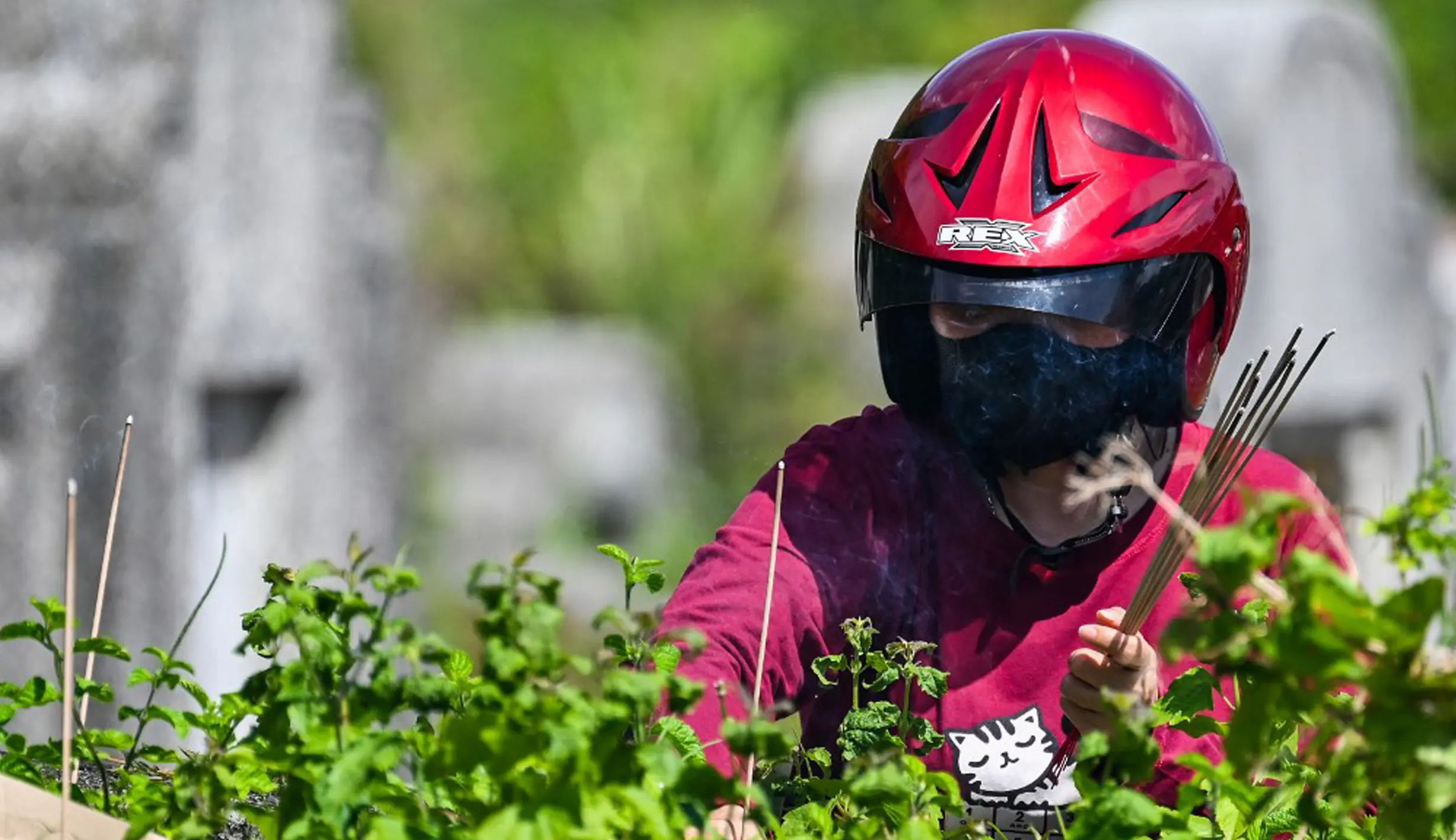 Festival Cheng Beng, Warga Tionghoa Banda Aceh Bersihkan Makam Leluhur ...