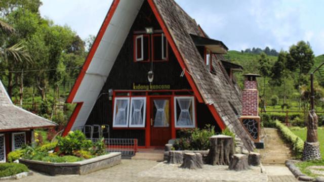 Profil PT Perkebunan Nusantara VIII, BUMN Pengelola Perkebunan Teh ...