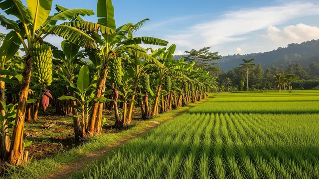 6 Ide Kebun Buah Mini di Sela Tanaman Padi, Pertanian Terpadu Menguntungkan