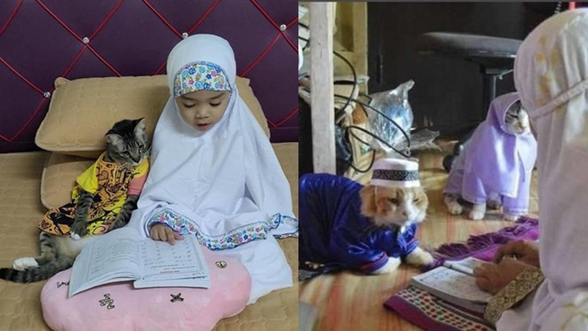 6 Potret Kucing Temani Orang Mengaji Ini Bikin Gemas - Hot Liputan6.com