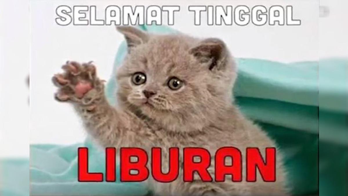 Deretan Meme Kocak Libur Telah Usai, Lucu tapi Bikin Baper - Citizen6 ...