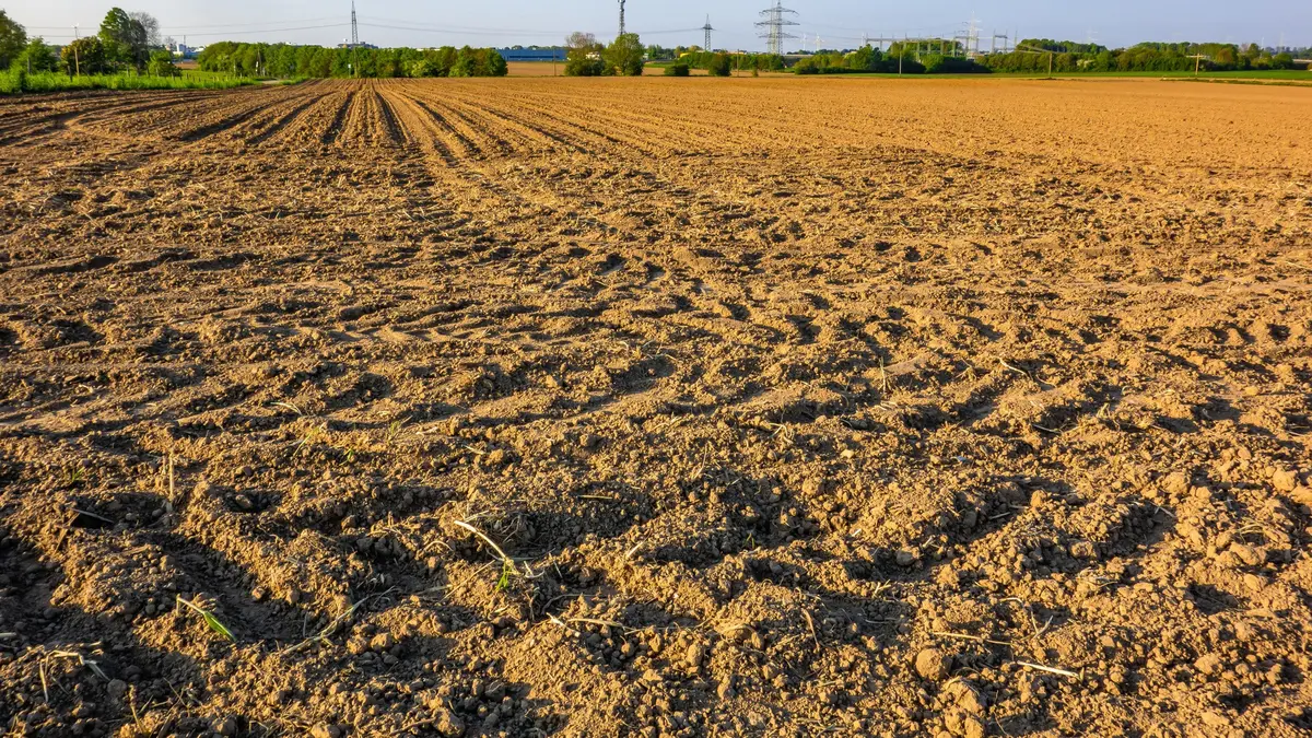 Berita Jenis tanah di Indonesia Terbaru - Kabar Terbaru Hari Ini | Bola.com