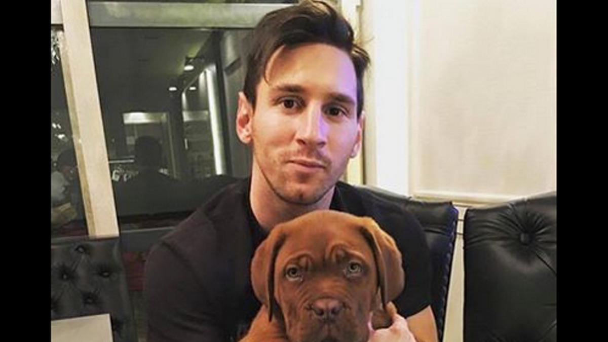 Lucunya, Peliharaan Baru Lionel Messi