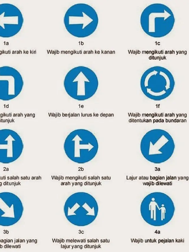 Rambu Lalu Lintas dan Artinya, Berikut Jenis-Jenis dan Arti Marka Jalan ...