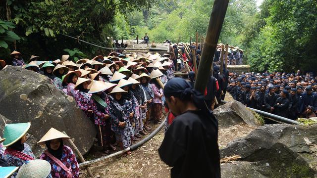 Pohon Pucung, Penyelamat Warga Banyumas dari Kekeringan - Regional ...