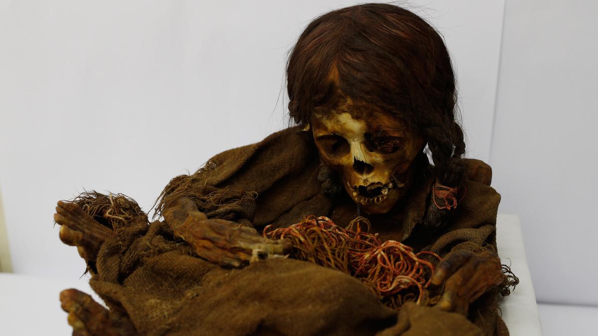 FOTO: Penampakan Mumi Gadis Inca Berumur 500 Tahun - Foto Liputan6.com
