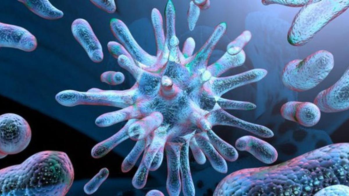 Rubella: Infeksi Virus Pada Masa Prenatal yang Menjadi Penyebab ...