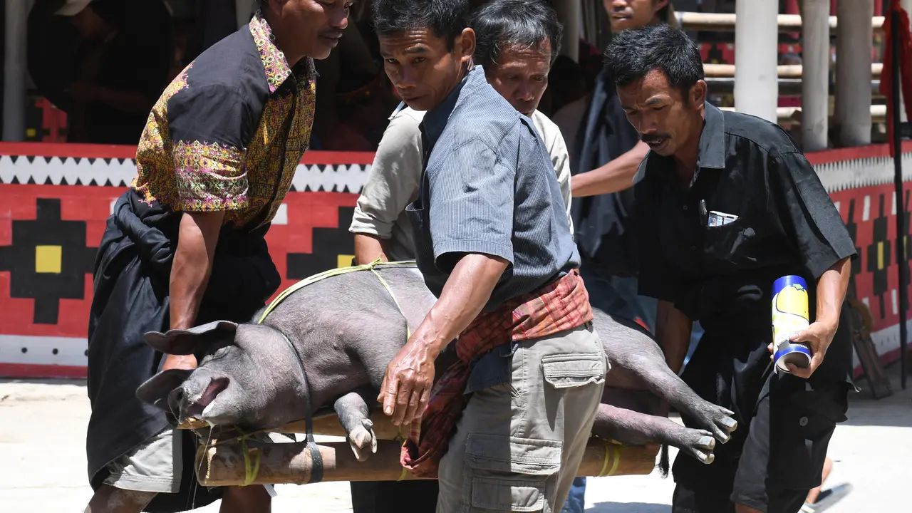 Ma’nene, Ritual Membersihkan dan Mengganti Pakaian Jenazah di Toraja - Regional Liputan6.com