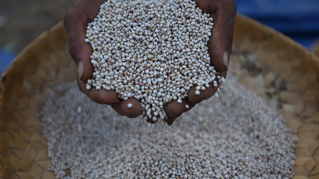 Keragaman Pangan Indonesia Tinggi tapi Ketahanan Pangan Rendah ...