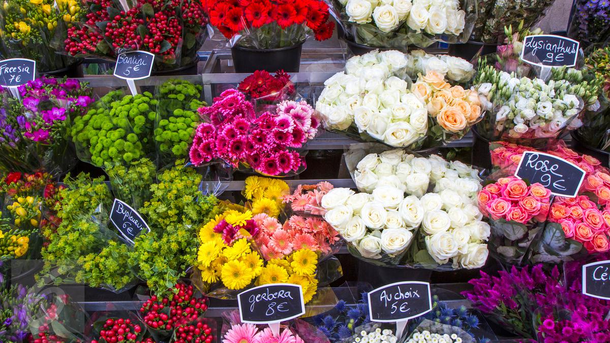 Dari Mana Asal Bunga-Bunga? - News Liputan6.com