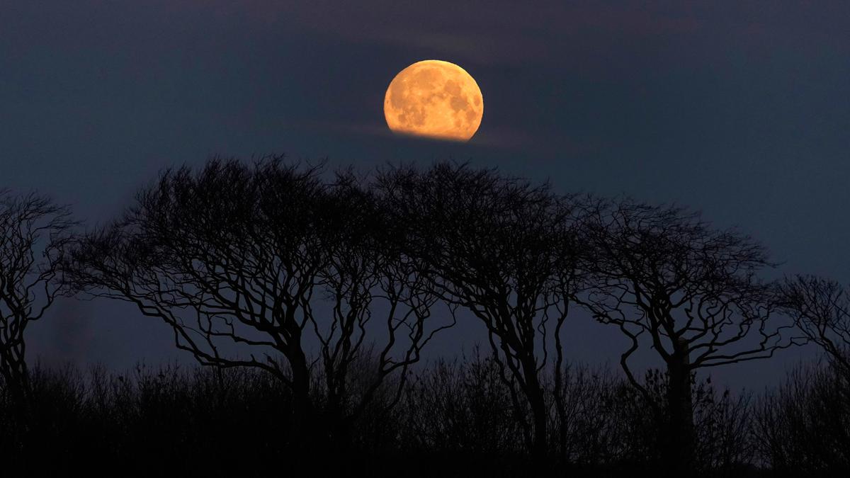 FOTO: Penampakan Super Snow Moon di Berbagai Negara - Foto Liputan6.com