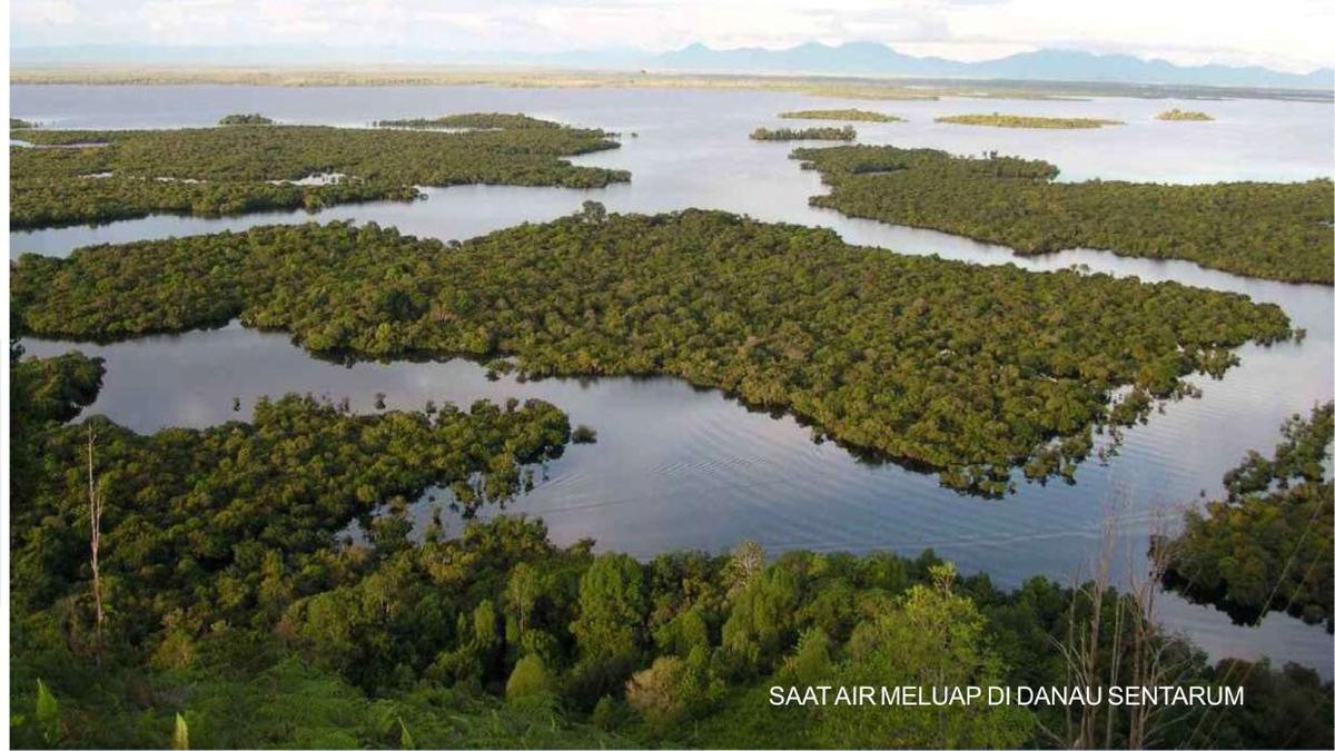 Jadi Sumber Irigasi, Kementerian PUPR Restorasi Danau Sentarum - Bisnis ...
