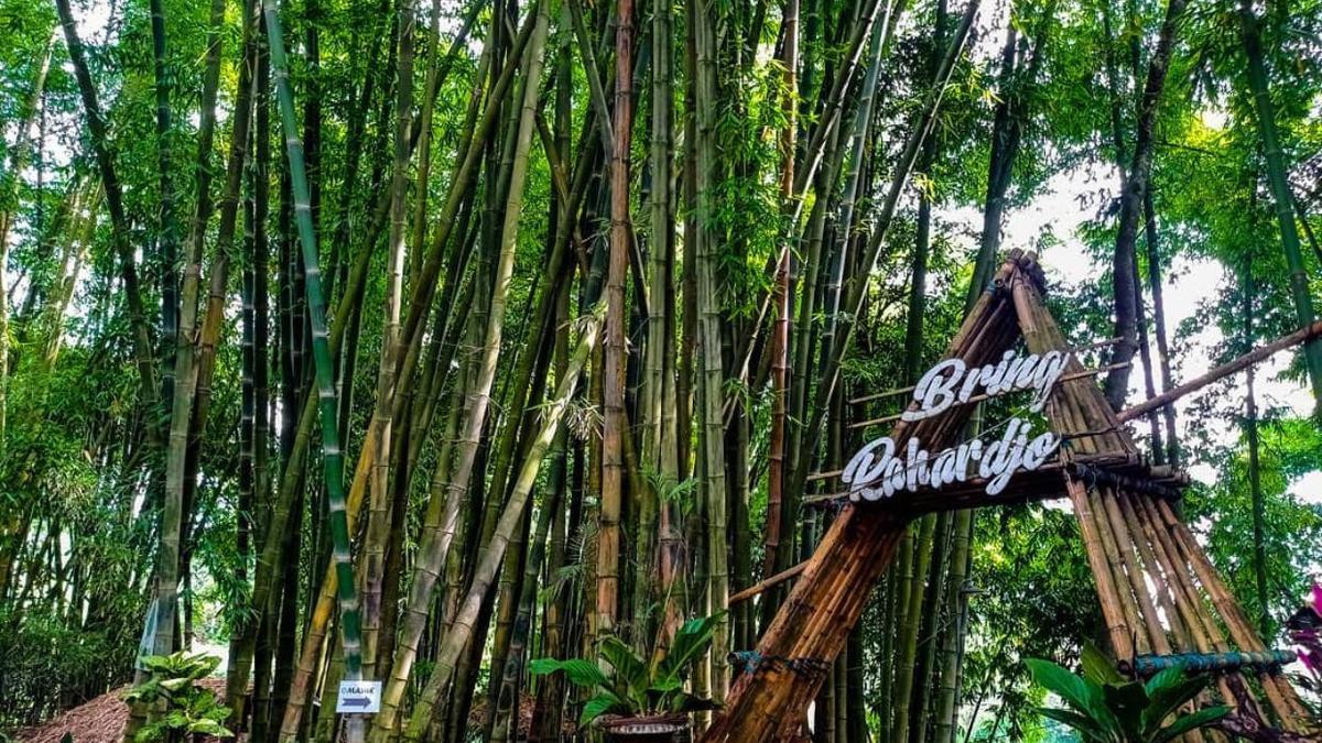 Bring Rahardjo, dari Tempat Buang Sampah Jadi Spot Nongkrong Asyik di ...