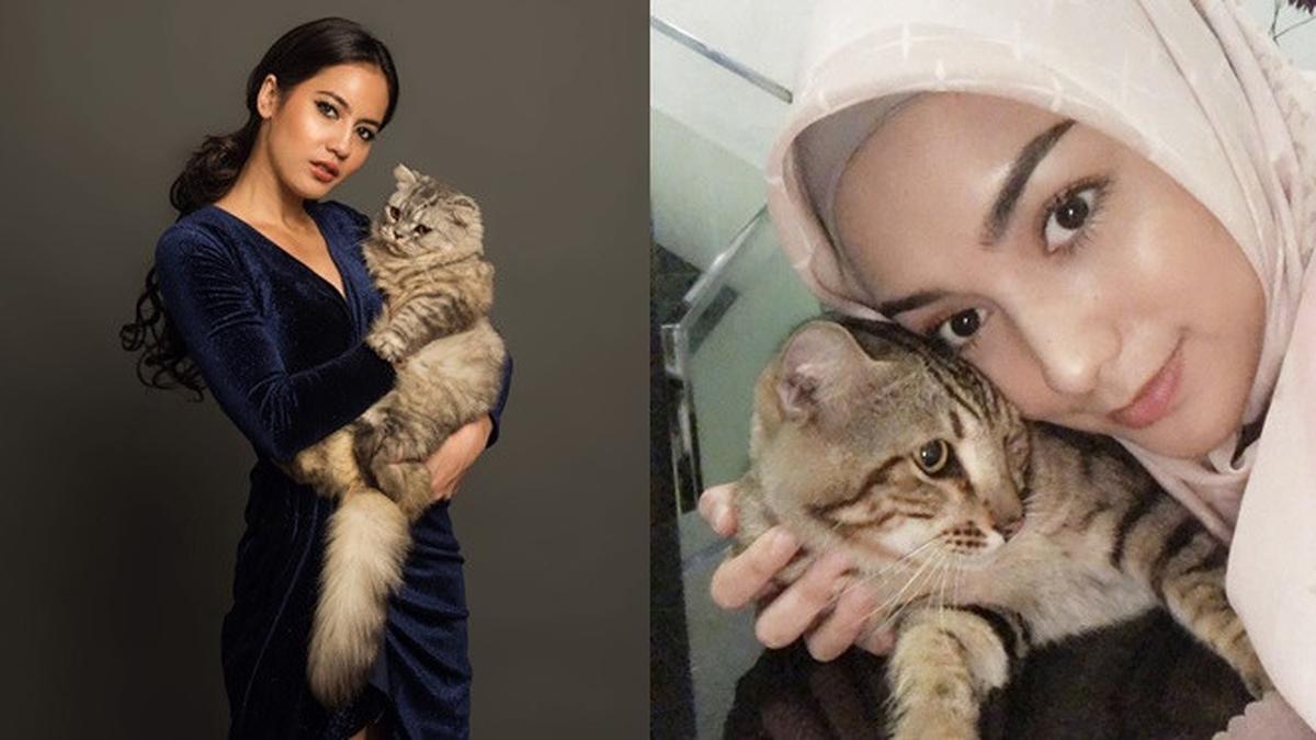 5 Seleb Cantik Tanah Air Ini Pecinta Kucing, Sama-Sama Bikin Gemas
