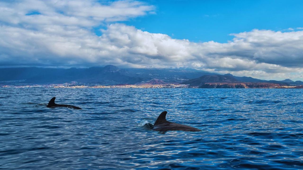 6 Fakta Menarik Gunungapi Wetar, Pulau Vulkanik yang Terisolasi di Laut ...