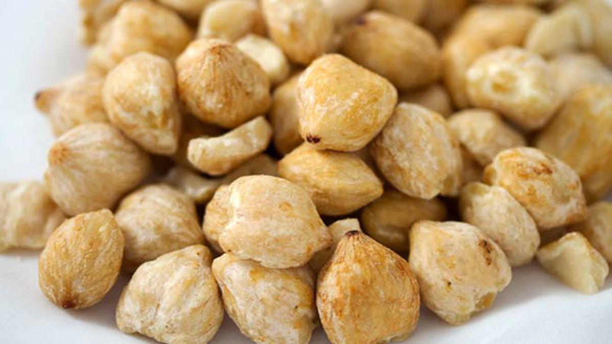 Tanaman Kemiri Sunan Dikembangkan untuk Bisa Kurangi Impor BBM