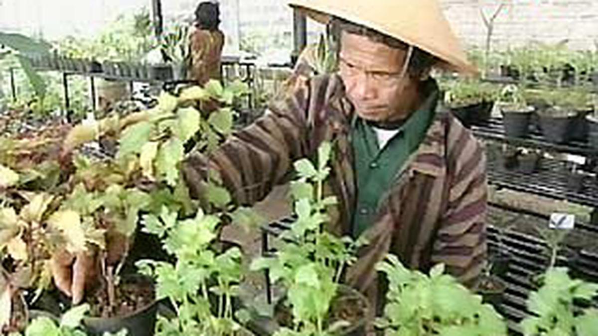 Wisata Sehat di Taman Djamoe Indonesia - News Liputan6.com