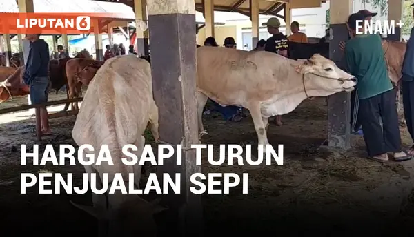 Perkuat Pembangunan Nasional, Kementerian ATR/BPN Percepat Pelaksanaan Kebijakan Satu Peta ...