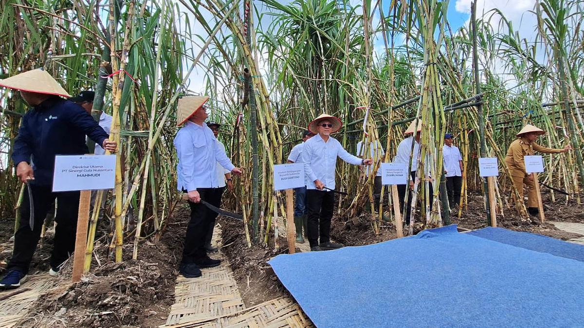 Menko Zulhas Targetkan Produksi Gula di Sumut Meningkat 100 Persen - Regional Liputan6.com
