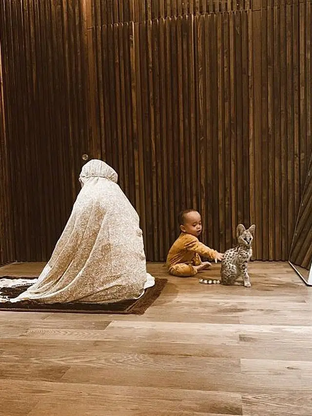 6 Artis Tanah Air Ini Pelihara Kucing yang Harganya Fantastis, Bisa ...