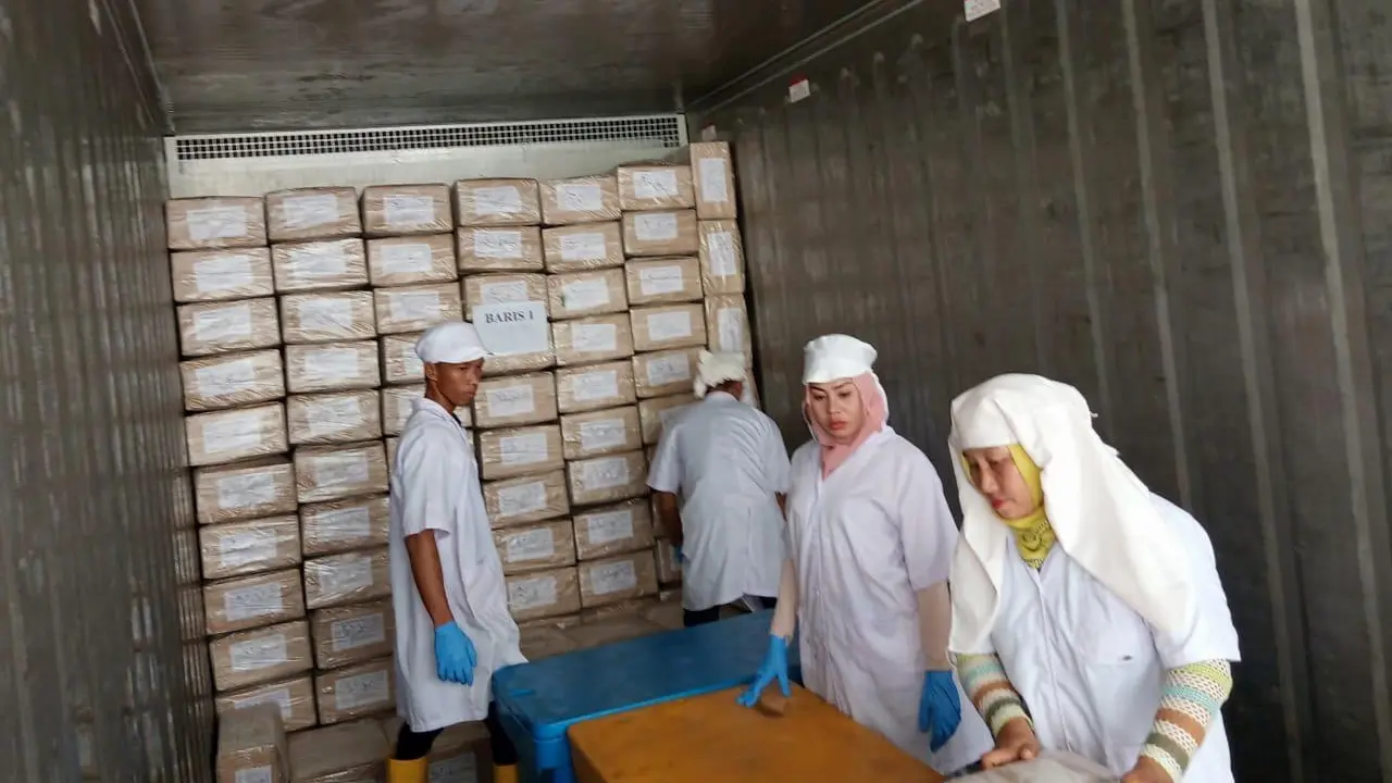 Merger, Perum Perindo dan Perinus akan Bernama PT Perikanan Indonesia ...