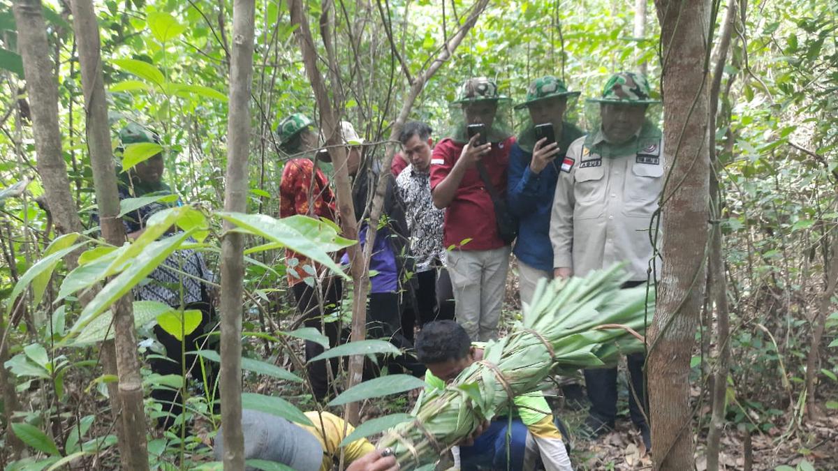 Tim Ahli Beberkan, 3 Kriteria agar Madu Pelawan Namang Peroleh ...
