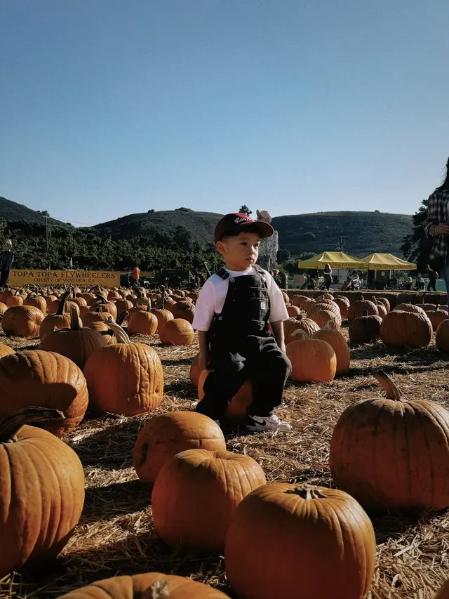 6 Potret Nikita Willy Ajak Baby Issa ke Ladang Labu Amerika, Panen ...