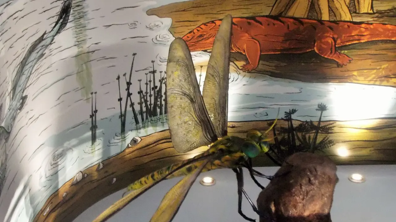 10 Raksasa yang Merupakan Nenek Moyang Hewan Modern Saat Ini - Global ...