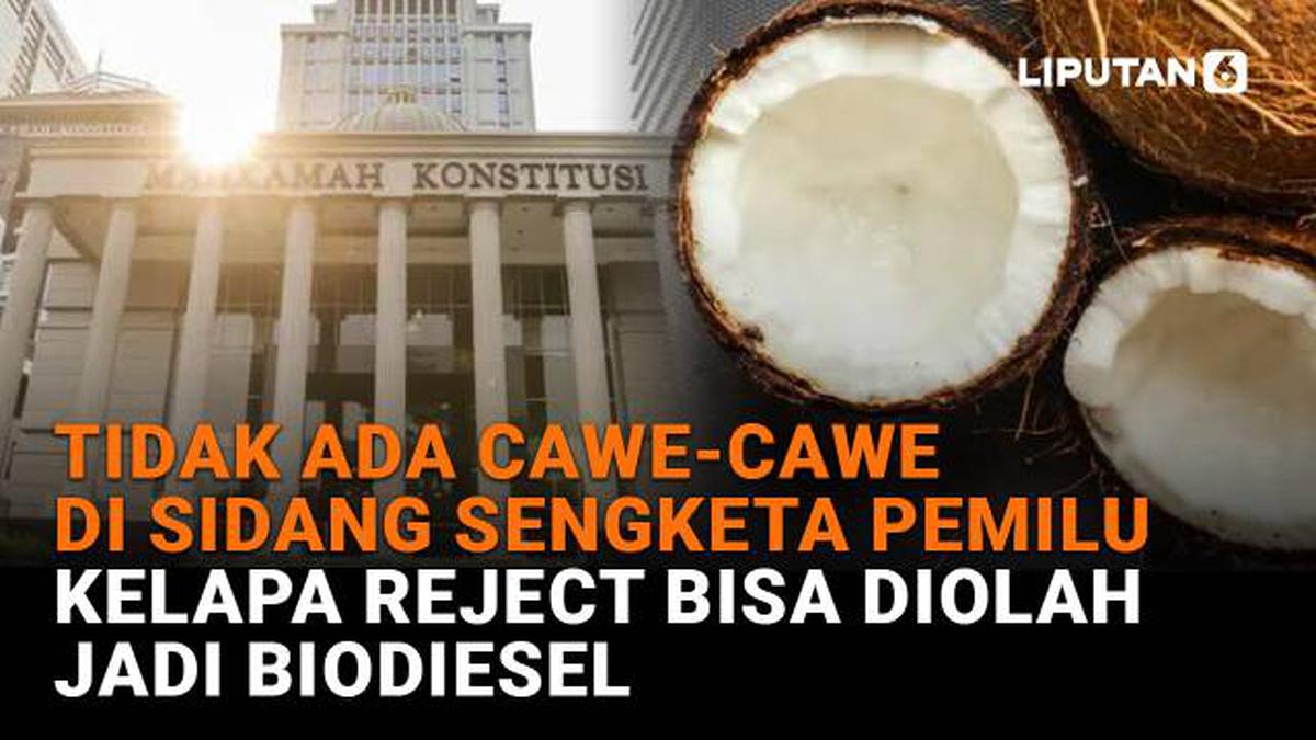 Tidak Ada Cawe-Cawe di Sidang Sengketa Pemilu, Kelapa Reject Bisa ...