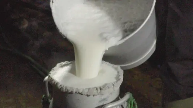14 Jenis Susu yang Banyak Ditemukan di Pasaran, Kenali Kandungan ...