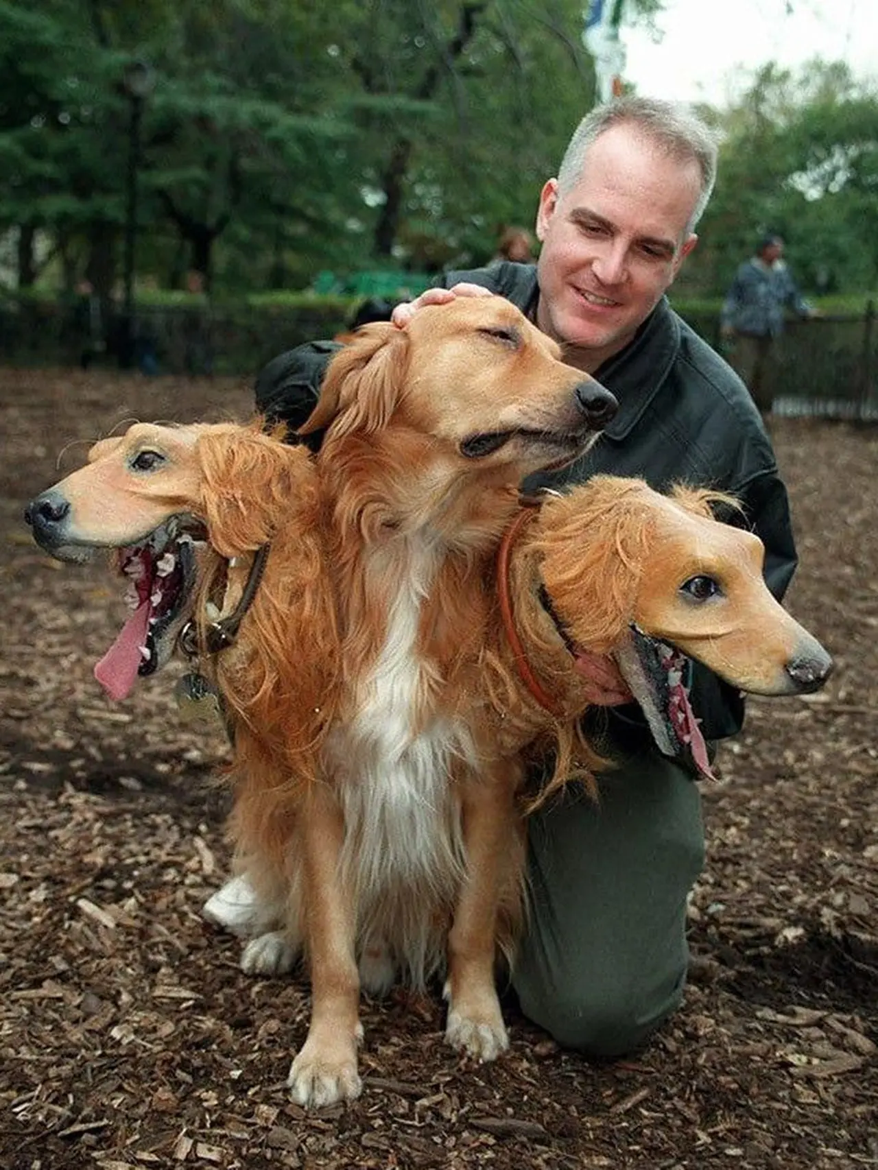6 Kostum Halloween Anjing Ini Nyeleneh Banget, Seram-Seram Lucu - Hot ...