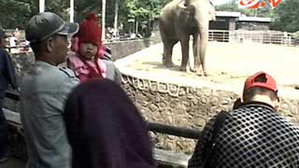 Halte Busway Ragunan Jadi Lahan Parkir
