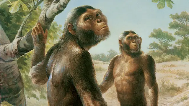 Lucy si Manusia Purba Nongol di Google Doodle Hari Ini - Tekno Liputan6.com