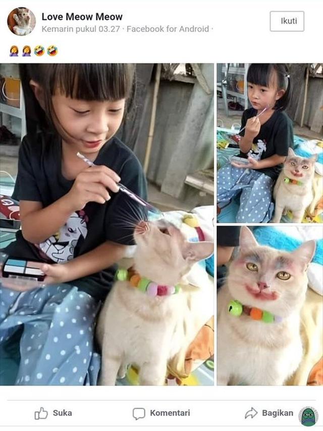 6 Potret Lucu Kucing Pakai Makeup, Wajahnya Pasrah dan Bikin Gemas