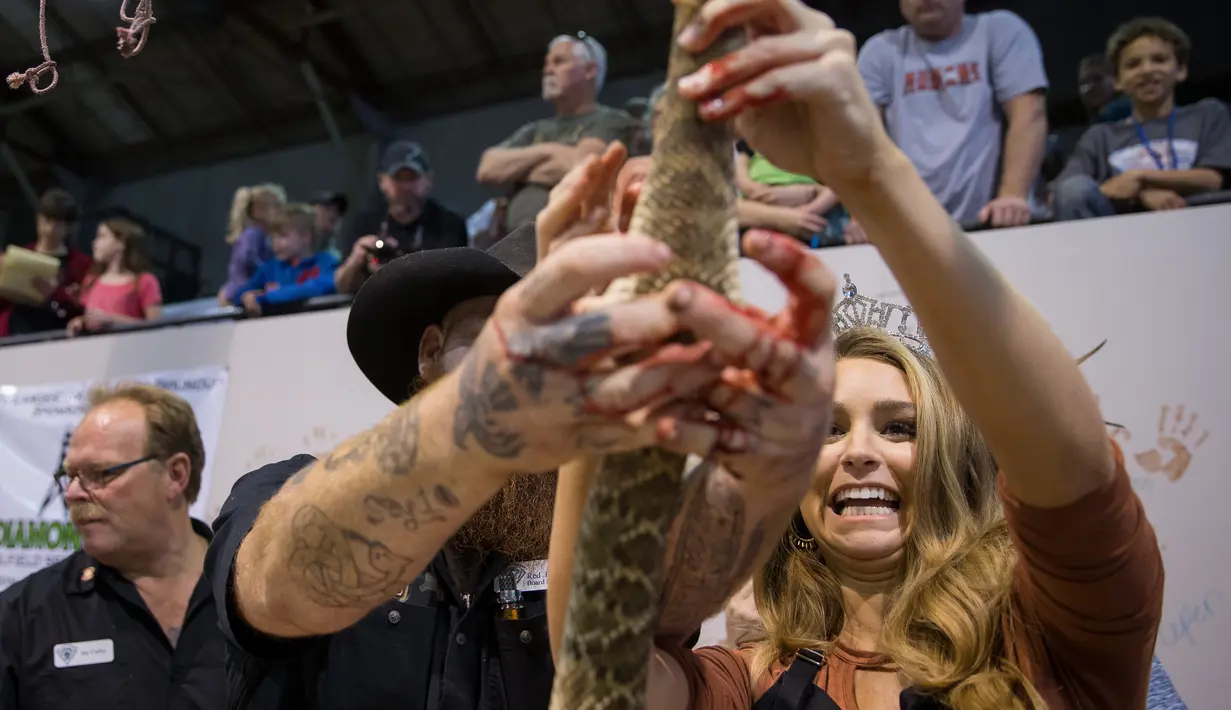 FOTO: Ngeri, Ribuan Ular Derik Mengerubuti Miss Texas - Foto Liputan6.com