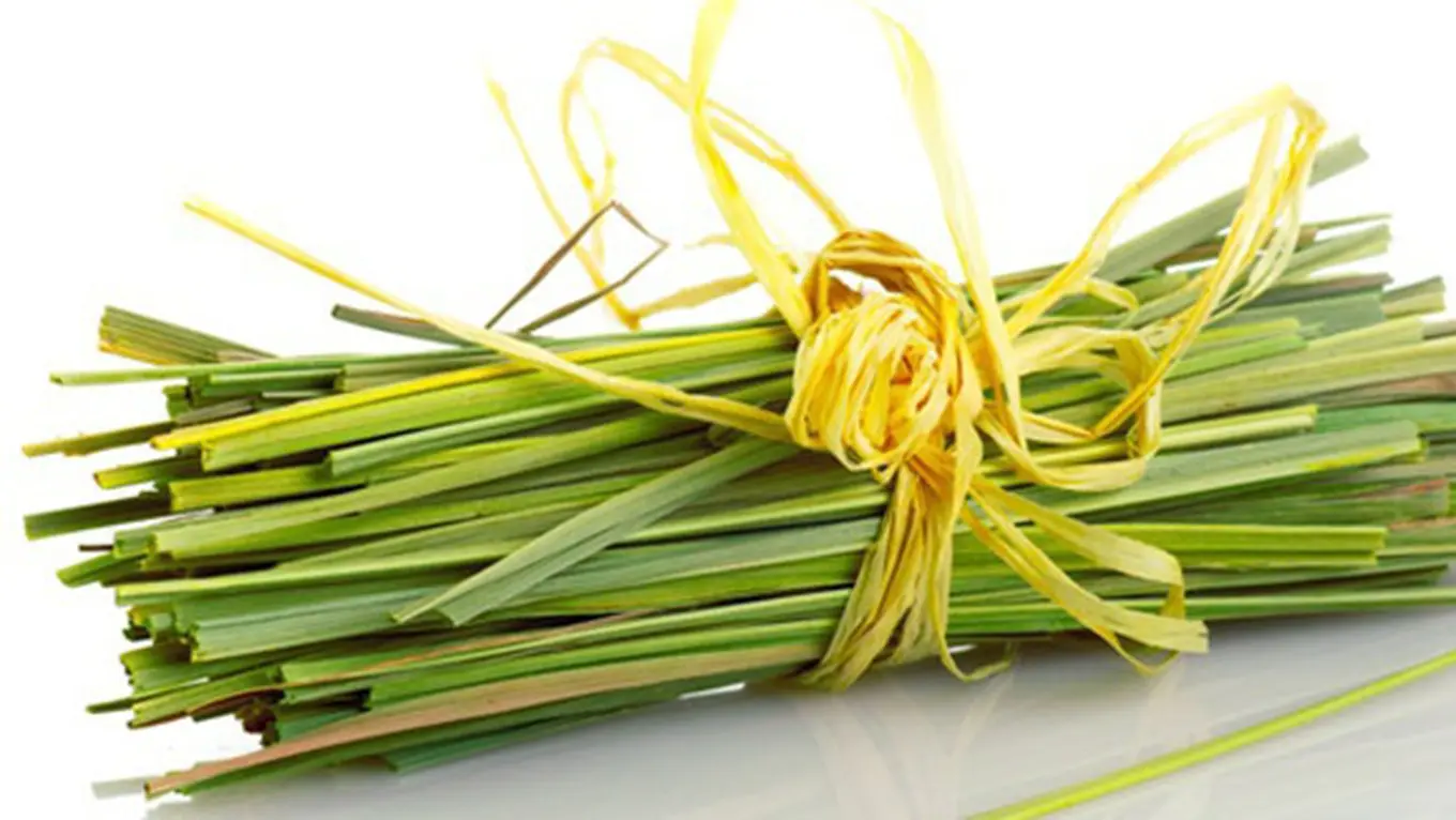 Ini Dia Berbagai Manfaat Serai Untuk Kesehatan Tubuh