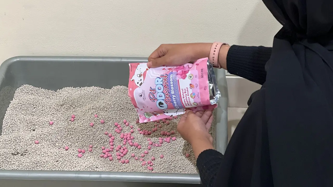 Boba, Solusi Penghilang Bau Kotoran Kucing dari Olive Care - Lifestyle ...