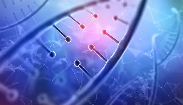 Ingat Dijah Yellow? Ini 6 Potret Terbarunya yang Kini Jarang Tersorot ...