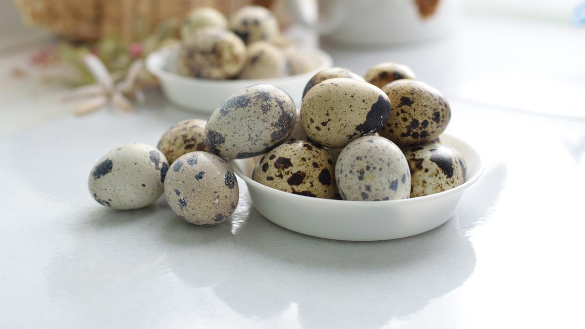 4 Trik Rebus Telur Puyuh yang Hasilnya Mulus dan Mudah Dikupas, Hanya ...