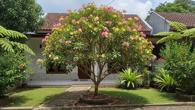 12 Ide Pohon Kecil yang Rimbun Tapi Akarnya Aman untuk Rumah, Bikin ...