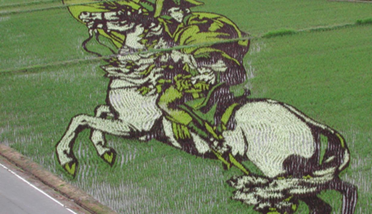 Kreatif Menanam Padi, Sawah-Sawah Ini Jadi Karya 3D Berbagai Gambar ...