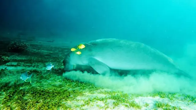 6 Fakta Menarik Bitung, Kota Paling Timur di Sulawesi Utara - Lifestyle ...