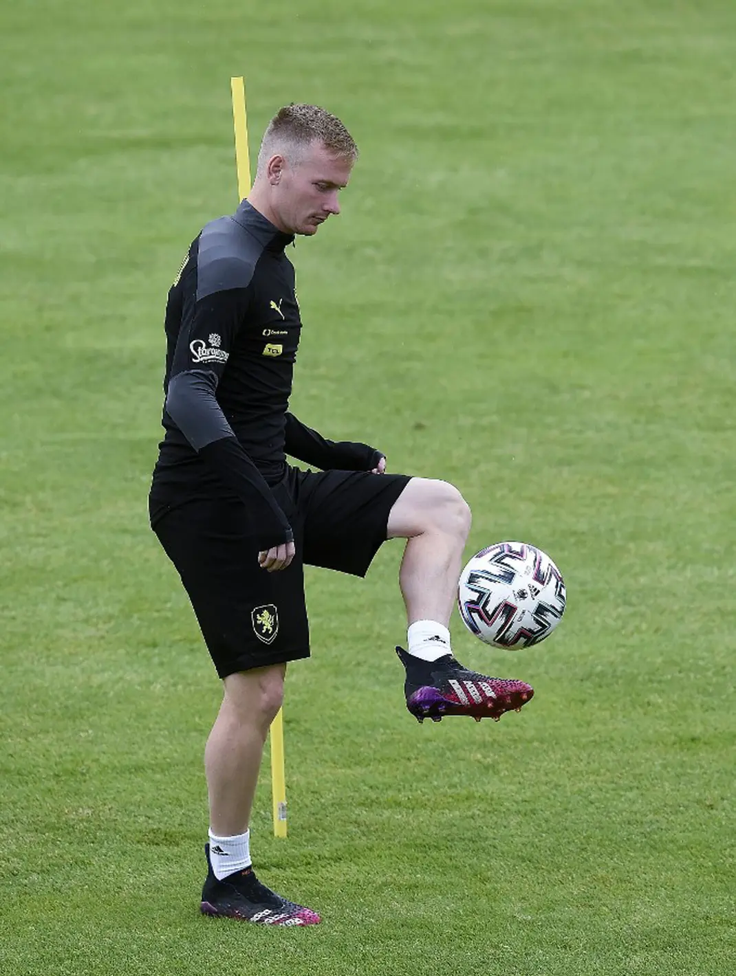 FOTO: Persiapan Republik Ceko Jelang Lawan Denmark di Perempat Final ...
