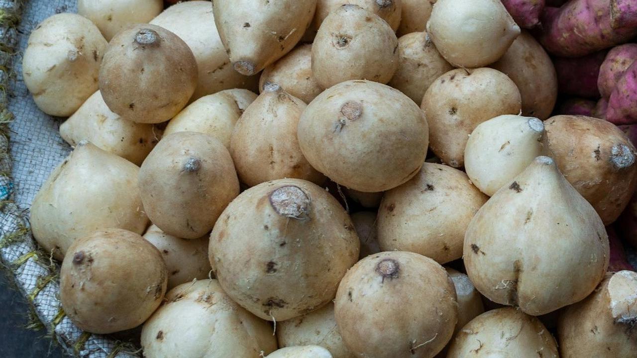 15 Manfaat Bengkoang untuk Kesehatan Tubuh, Sehatkan Pencernaan hingga ...