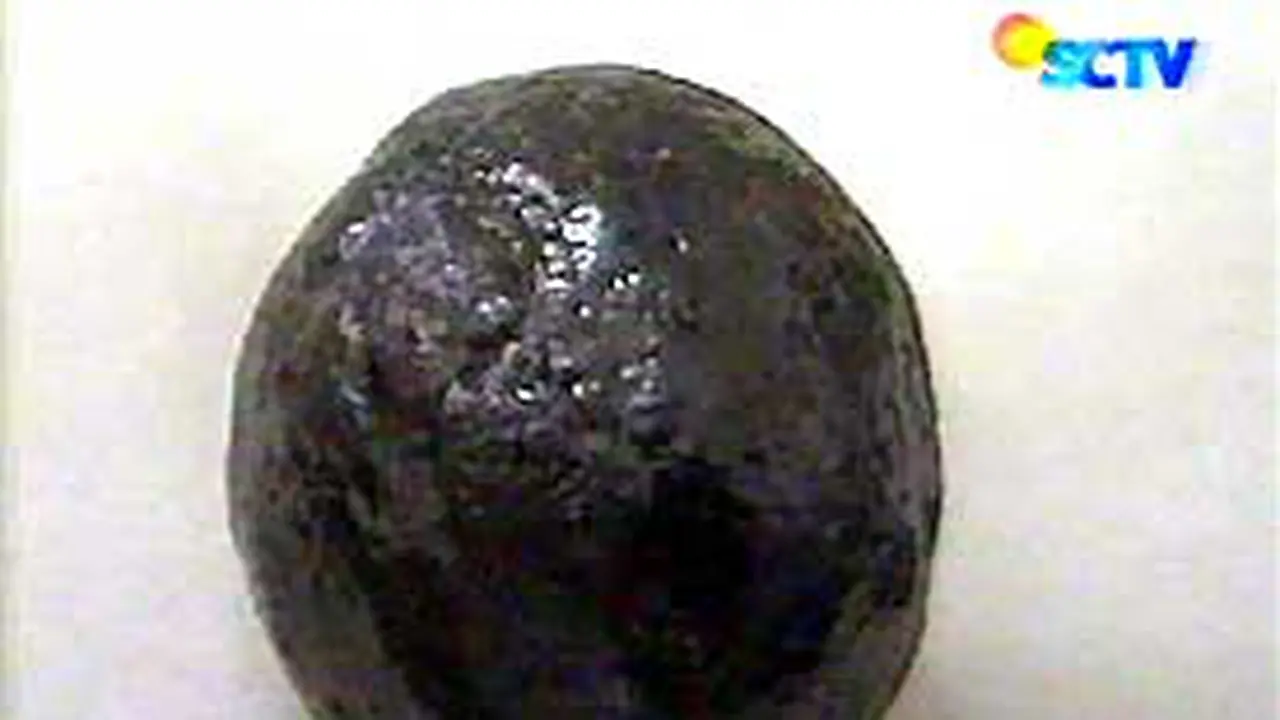 Putri Malu yang Diburu - News Liputan6.com