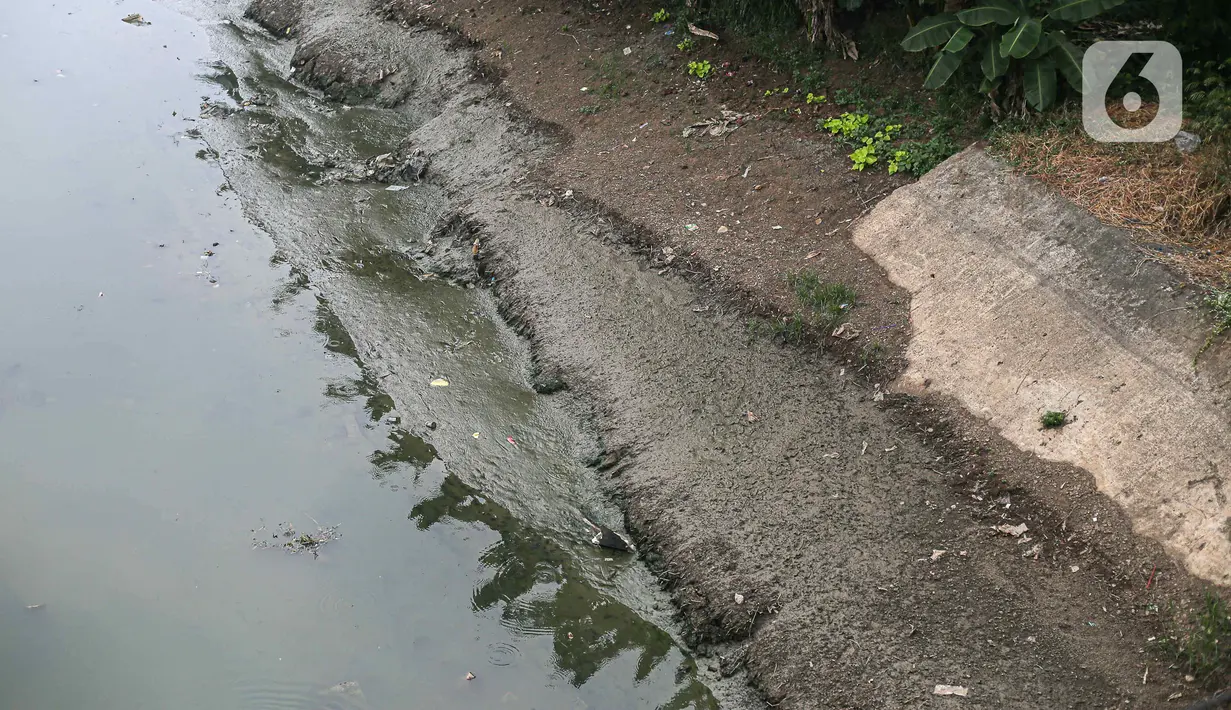 Terdampak Musim Kemarau, Debit Air Kanal Banjir Timur Surut - Foto ...